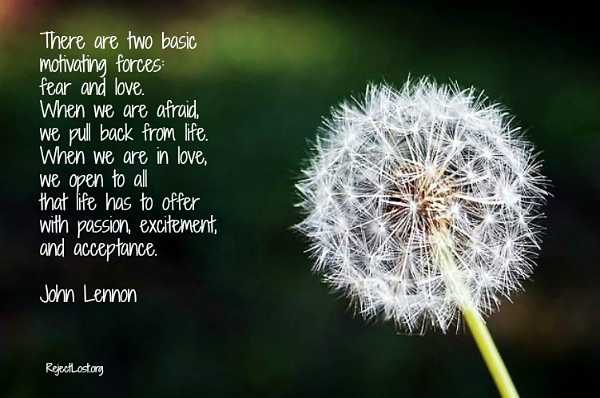 20 Overcoming Fear Quotes To Inspire!